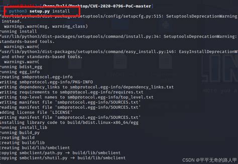 永恒之黑【cve 2020 0796】漏洞详细复现 永恒之黑漏洞复现 csdn博客