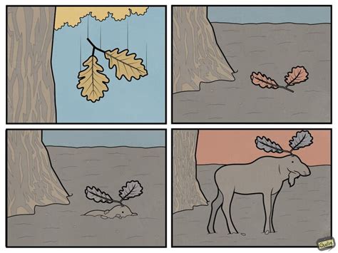 Лось | Пикабу