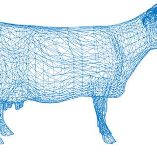 Different Levels Of Space Segmentation Effect Display Diagram Of Cow Model Download