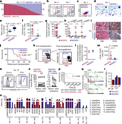 Leukemia On Flipboard Cancer Bone Marrow AML