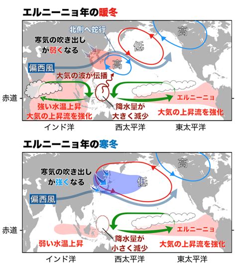 エルニーニョの発達の早さが暖冬傾向と寒冬傾向を左右することを発見～数ヶ月先の異常天候予測の精度向上に繋がると期待～ テック・アイ技術情報研究所