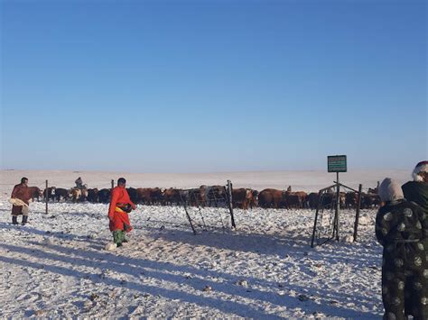 Цаг агаарын улмаас улсын хилд тулсан гурван мянга гаруй малыг малчдад хүлээлгэн өгч зөрчлийн