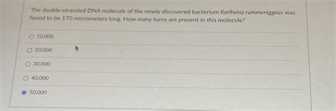 Solved The Double Stranded Dna Molecule Of The Newly