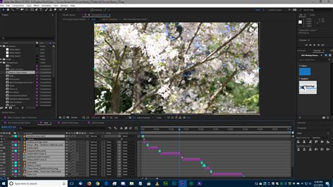 Solved After Effect Custom Workspace Keeps Rearranging It Adobe Support Community