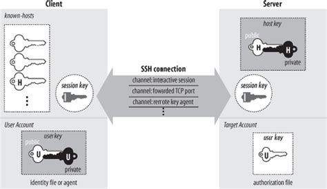 The Architecture Of An Ssh System Ssh The Secure Shell The
