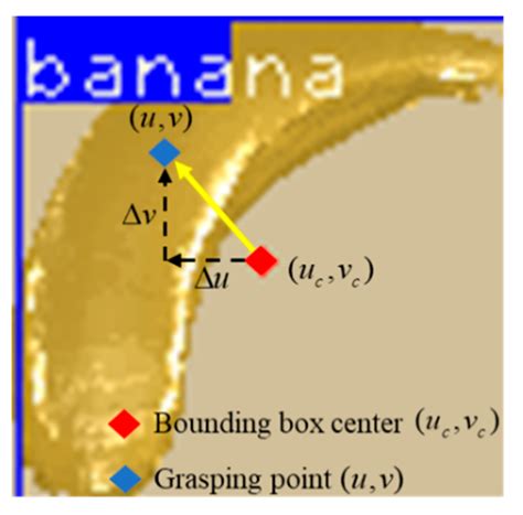 vision based robotic object grasping—a deep reinforcement learning approach