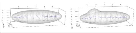 Skeletal Models Of An Ellipsoid Left And A Deformed Ellipsoid Right