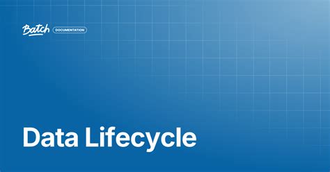 Data Lifecycle Batch Documentation