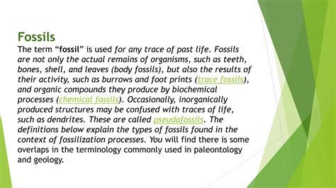 fossilization pptx geology science