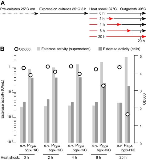 defining pibpa temperature dependent expression output a