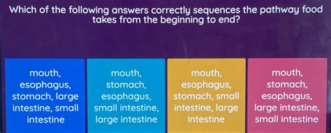 Solved Which Of The Following Answers Correctly Sequences The Pathway