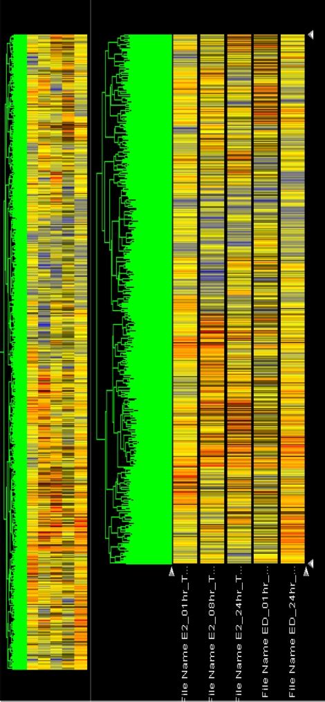 hierarchical clustering analysis a hierarchical clustering analysis