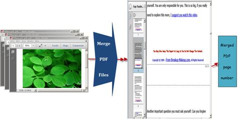 spire pdf for 如何进行pdf文档的合并和添加页码 控件技术 —正版控件、购买、下载、价格、销售、代理、授权、技术支持