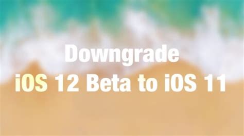How To Downgrade IOS 12 Beta To IOS 11 Tutorial