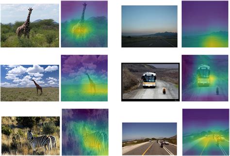 images from the visual genome dataset and their saliency maps produced