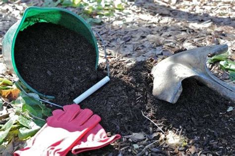 Mulch Faq S A Way To Garden