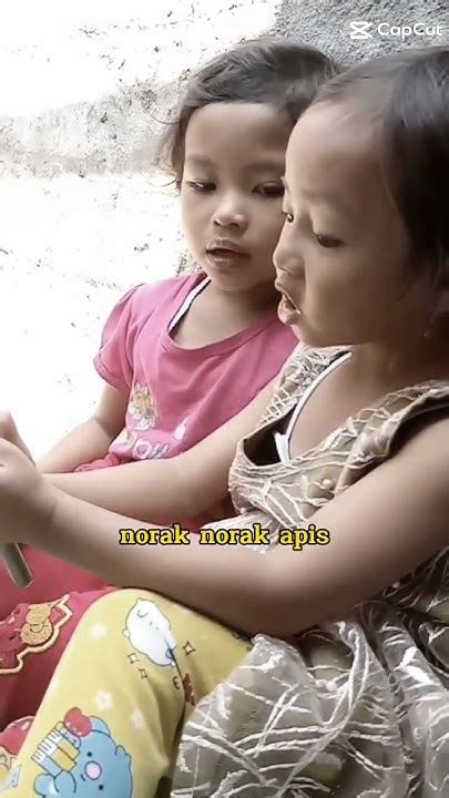 apis youtube
