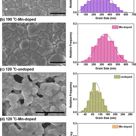 sem morphologies and grain size distribution histograms of a w o 190 b
