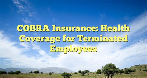 Cobra Insurance Health Coverage For Terminated Employees Advocate Health Plans
