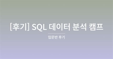 후기 Sql 데이터 분석 캠프 입문반