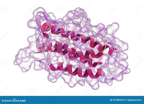 Molecular Model Of Human Erythropoietin Stock Illustration Illustration Of Doping Epoetin