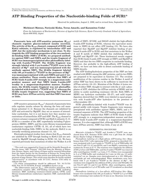 Pdf Atp Binding Properties Of The Nucleotide Binding Folds Of Sur1