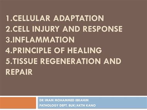 Cellular Adaptation Cell Injury And Responsepptx