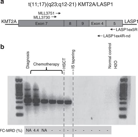 Representative Example Of Nested Rt Pcr Design And Post Hsct