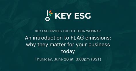 An Introduction To Flag Emissions Why They Matter For Your Business