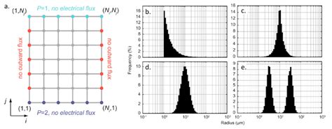 12 A 2d Pore Network Used To Compute The Effective Excess Charge Download Scientific Diagram