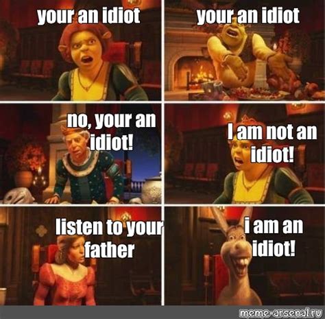 Youre An Idiot Meme