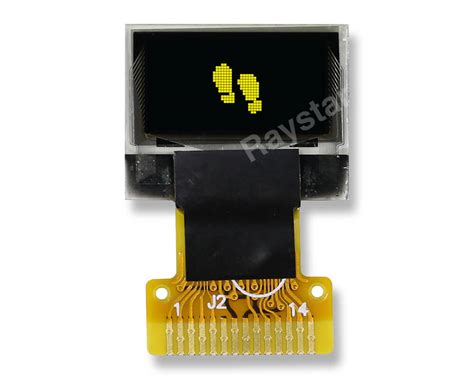 049 Inch Micro Oled Display Module64x32 Oled Screen Raystar