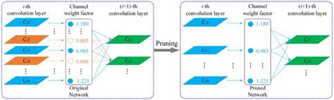 Schematic Diagram Of Convolution Kernel Pruning Download Scientific Diagram