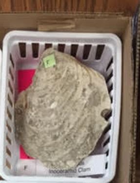 GEOL COMBINED QUIZLET EXAM 4 Flashcards Quizlet