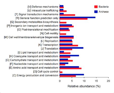 The Relative Abundance Of Predictive Functional Genes Of Bacterial