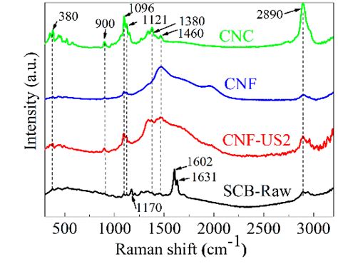 Figure 1 From Eco Friendly Cellulose Nanofiber Extraction From Sugarcane Bagasse And Film