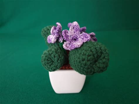 Pianta Grassa In Lana Con Quattro Fiori Screziati Viola Per La Ca