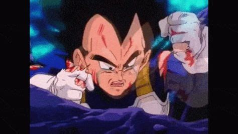 Vegeta Crying