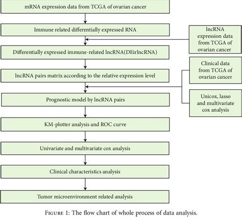 Figure 1 From An Immune Related Lncrna Pairing Model For Predicting The Prognosis And Immune