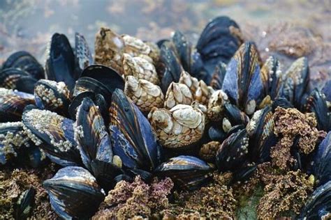 8 Ways To Avoid Microplastics And Why Its Important Get Green Now