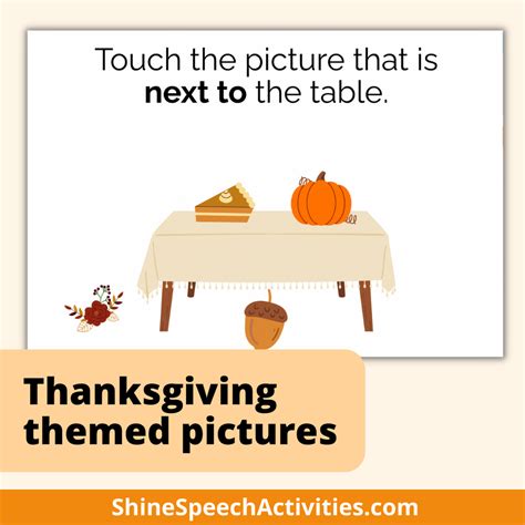 Thanksgiving Basic Concepts Shine Speech Activities