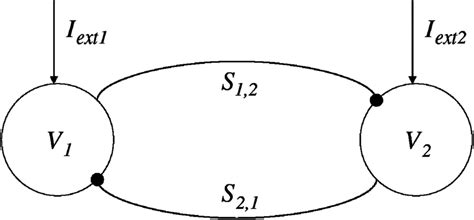 Coupled Neurons Diagram Two Spiking Neurons Are Connected With Download Scientific Diagram
