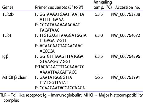 Primers Used For Bisulphite Sequencing Pcr Download Scientific Diagram