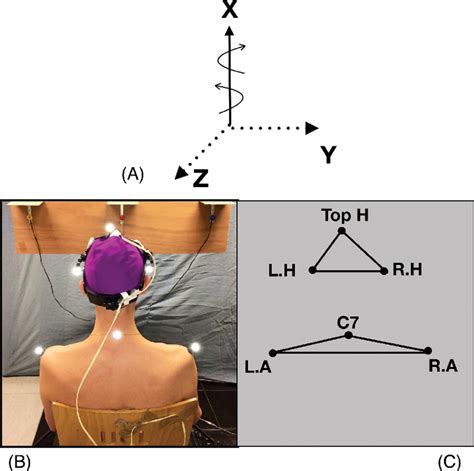 Head Shoulders Markers And Rotational Axes Head And Shoulders Markers Download Scientific