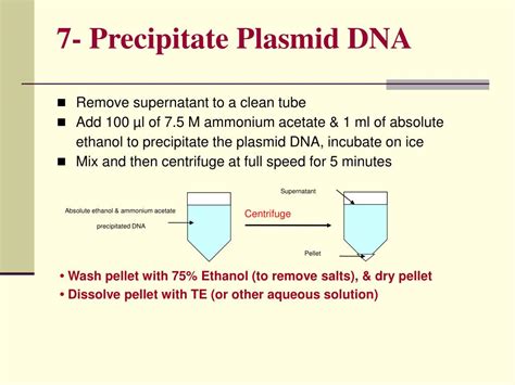 Ppt Plasmid Dna Isolation Powerpoint Presentation Free Download Id 477427
