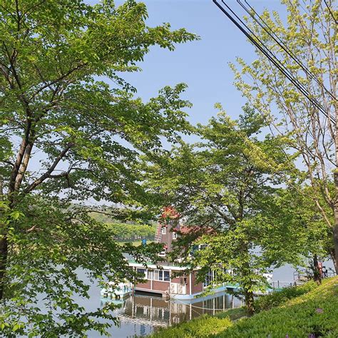 필연 2025 오월연가 2 허필연 시인이 요즘 같은 시대에 시를 써도 되는지 물었다고 합니다 오늘 아침 공지로에 물밀 듯 밀려오는 초록을 배경으로 선 노란