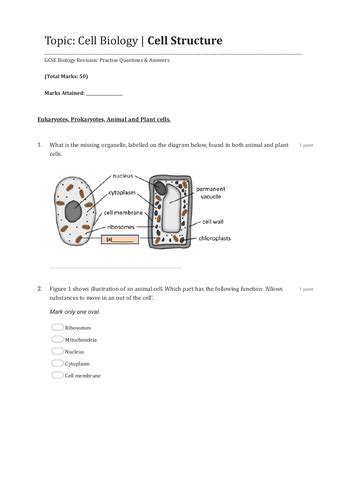 Gcse Igcse Biology Cell Biology 40 Revision Questions And Answers [2023] Teaching Resources