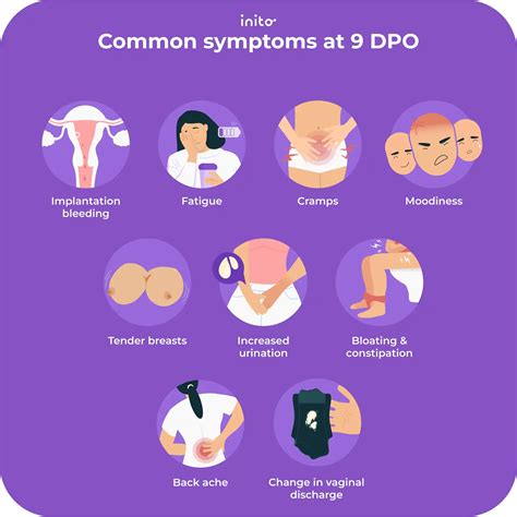 9 Dpo What To Know About Symptoms And Testing