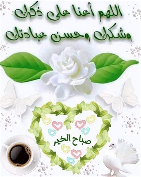 Bashar Mohammad Posted On Linkedin