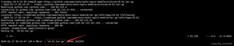 Nginx 安装echo模块 Csdn博客